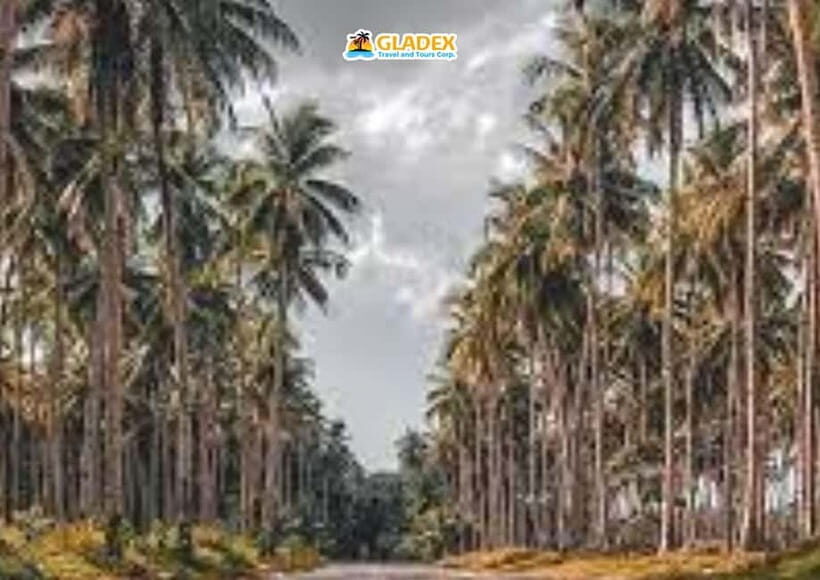 Siargao: Land Tour - Who Will Love This Tour?