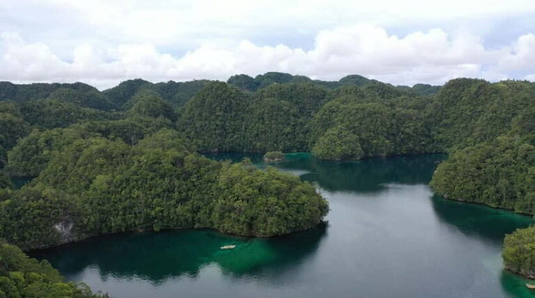 Siargao: Sohoton and Non-Sting Jellyfish Sanctuary Tour - Is the Tour Worth Its Price?