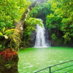 Siargao Tour C (Private Tour) - Who Is This Tour Best Suited For?