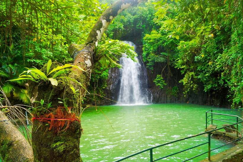 Siargao Tour C (Private Tour) - Who Is This Tour Best Suited For?