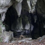 Siargao Tour C (shared tour) - Exploring Siargao Tour C in Detail