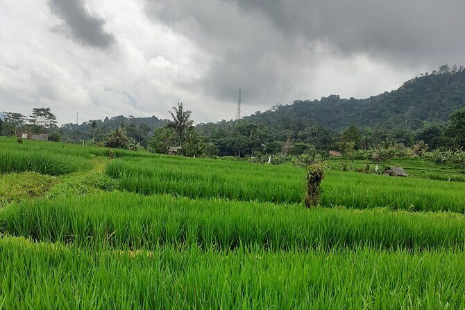 Sidemen Scooter Tours - What to Expect and How It Unfolds