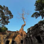 Siem Reap: Angkor 1-Day Private Tour with Sunset or Sunrise - Transportation and Comfort