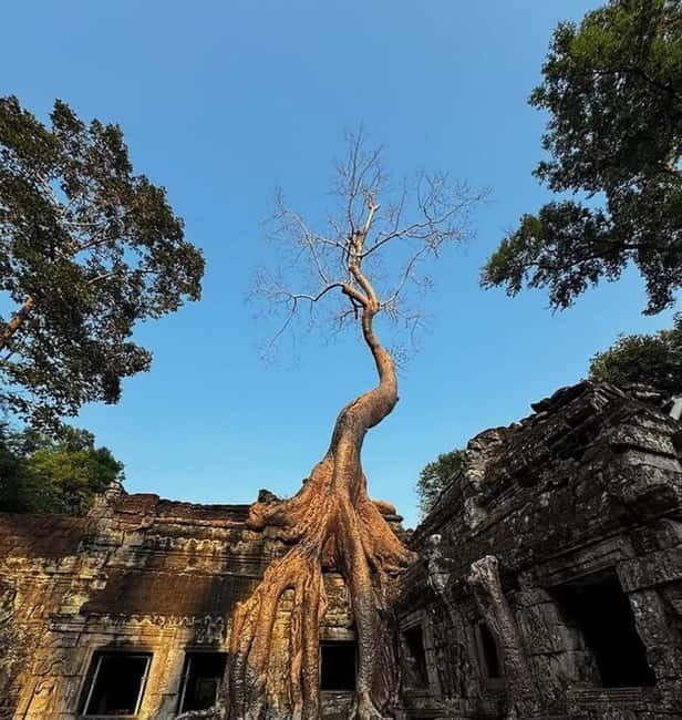 Siem Reap: Angkor 1-Day Private Tour with Sunset or Sunrise - Transportation and Comfort