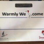 Siem Reap Angkor Airport or Hotel Transfer (SAI Airport) - An In-Depth Look at the Transfer Experience