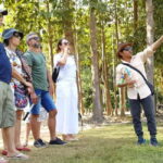 Siem Reap: Angkor Wat Tour with Portuguese-Speaking Guide - Transportation and Comfort: What You Need to Know