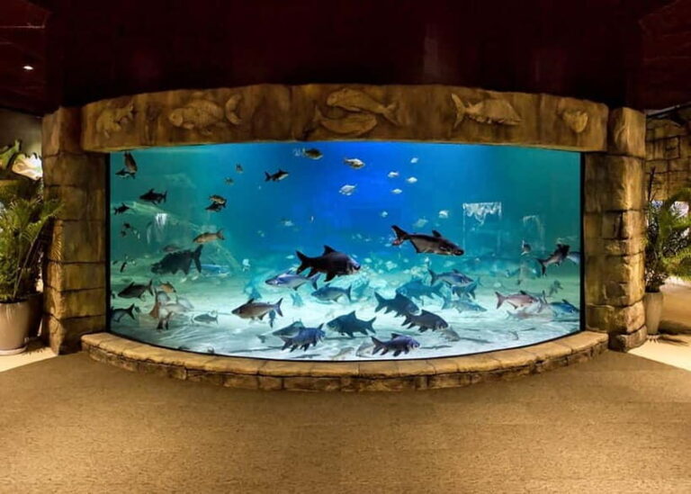 Siem Reap: Angkor Wildlife & Aquarium Entrance Ticket - Why You Should Consider This Experience