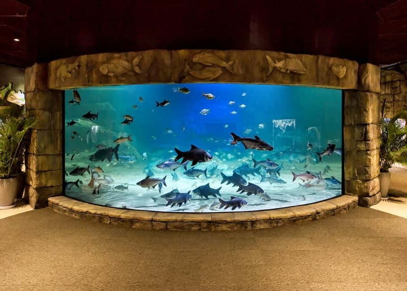 Siem Reap: Angkor Wildlife & Aquarium Entrance Ticket - Why You Should Consider This Experience