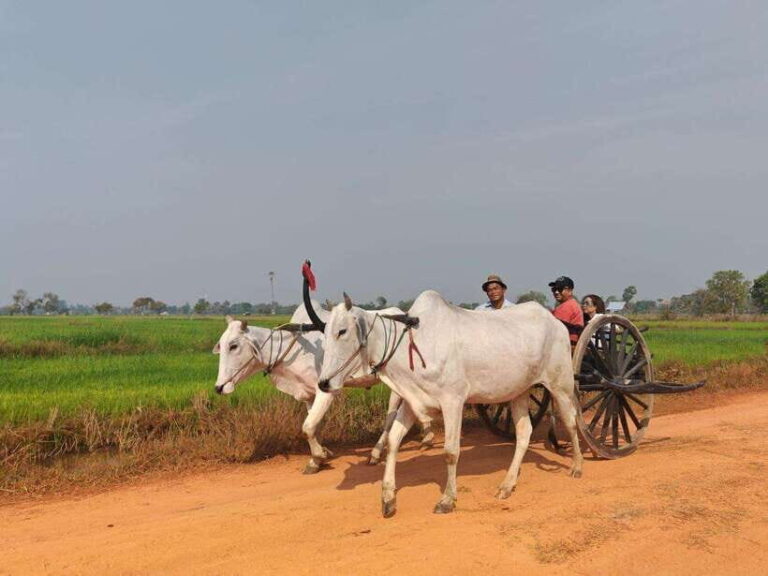 Siem Reap: Authentic Village Tour with Ox Cart Ride - The Itinerary and Practical Details