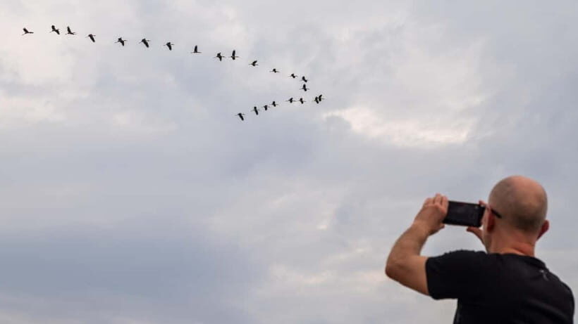 Siem Reap: Battambang Day Trip with French Tour Guide - Who Will Appreciate This Tour Most?