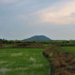 Siem Reap: Countryside Cycle and Local Village Life Tour - What’s Included and What to Expect