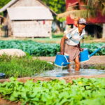 Siem Reap: Countryside Guided Tour by Bike and E-Bike - What’s Included and What to Expect