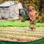 Siem Reap Countryside Guided Tour by Bike and E-Bike with Snacks - What Makes This Tour Stand Out