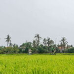 Siem Reap: Countryside Sunset Bike Ride - Authenticity and Learning