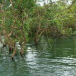 Siem Reap Floating Village Tour, Kompong Phluk Tour - Authenticity and Local Life