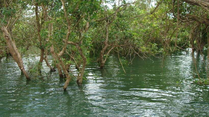Siem Reap Floating Village Tour, Kompong Phluk Tour - Authenticity and Local Life