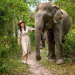 Siem Reap: Kulen Elephant Forest Guided Tour - What Makes This Tour Special?