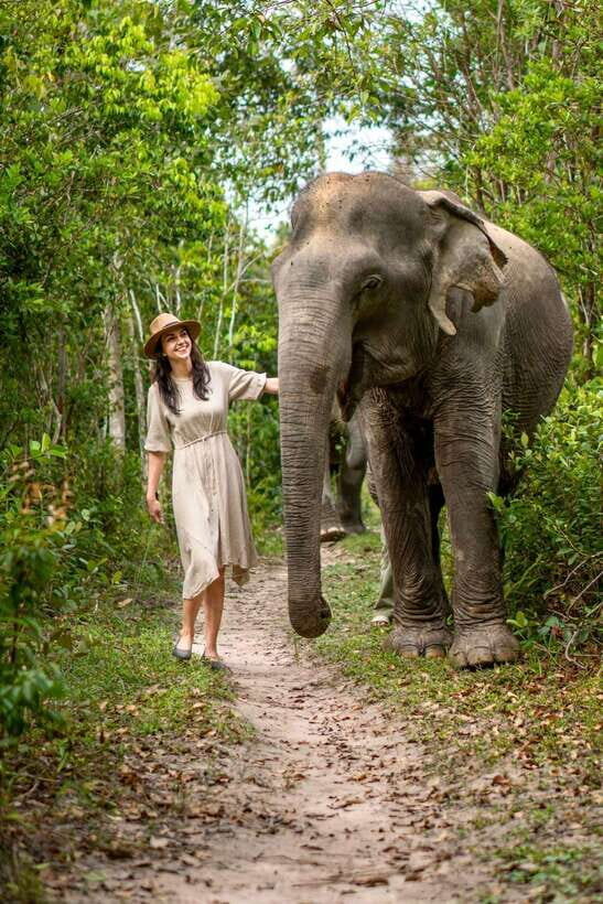Siem Reap: Kulen Elephant Forest Guided Tour - What Makes This Tour Special?