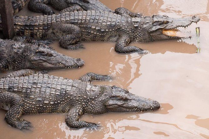 Siem Reap Lake-Side Village Tour - Authenticity and Value