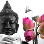 Siem Reap Lotus Silk Farm Tour with Pick Up downtown - The Itinerary: What to Expect