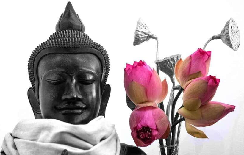 Siem Reap Lotus Silk Farm Tour with Pick Up downtown - The Itinerary: What to Expect