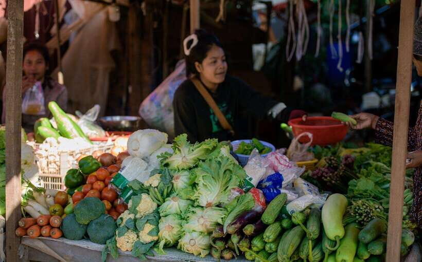 Siem Reap: Night Market Street Food Tour with Dinner - The Itinerary: What to Expect