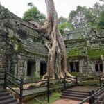 Siem Reap: Private Temple Tour full day by car or Minivan - Detailed Breakdown of the Itinerary