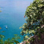 Sightseeing Boat Trip in Trincomalee - The Experience Provider and Its Offerings