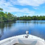 Sightseeing Cruise/Narrated Tour - Private 4 Hour - The Value and Who It’s Perfect For