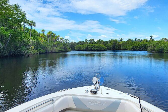 Sightseeing Cruise/Narrated Tour - Private 4 Hour - The Value and Who It’s Perfect For