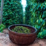 Sightseeing Northern Phu Quoc with Starfish Beach and Grand World - The Value of This Tour