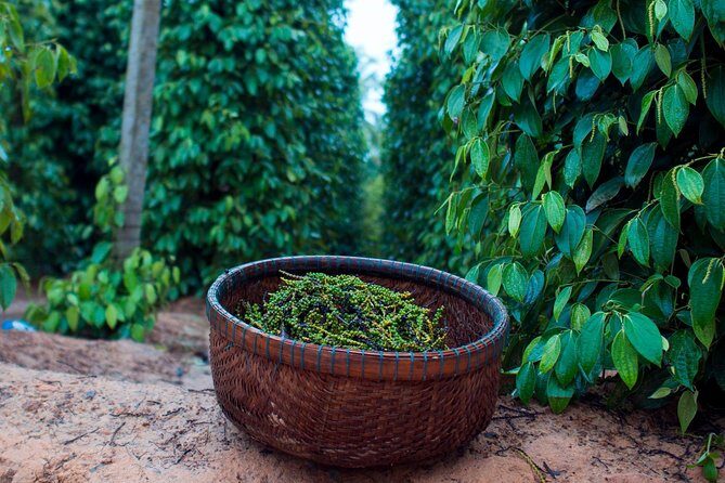 Sightseeing Northern Phu Quoc with Starfish Beach and Grand World - The Value of This Tour