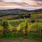 Sightseeing Tuscany by touring bike - 1 day rental - An In-Depth Look at the Tuscany Cycling Experience