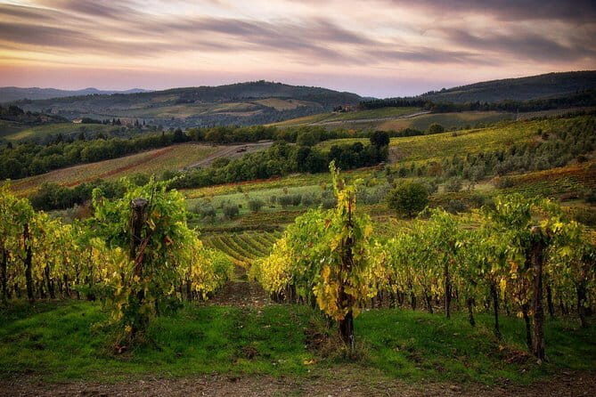 Sightseeing Tuscany by touring bike - 1 day rental - An In-Depth Look at the Tuscany Cycling Experience