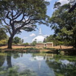 Sigiriya: Anuradhapura Guided Day Trip - Practical Details & What to Expect