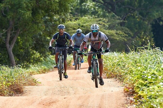 Sigiriya Cycle Safari Tour From Sigiriya - What Travelers Say