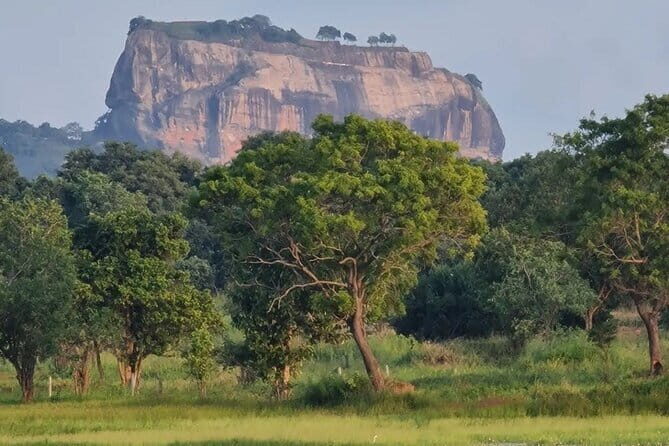 Sigiriya & Dambulla Cave Temple Day Trip from Colombo - Who Will Enjoy This Tour?