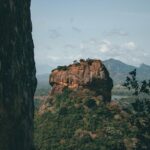 Sigiriya & Dambulla Day Tour From Negombo - Dambulla Town & Surroundings: Additional Highlights