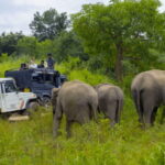 Sigiriya Fortress and Wildlife Safari from Kandy - The Sum Up: Who Will Love This Tour?