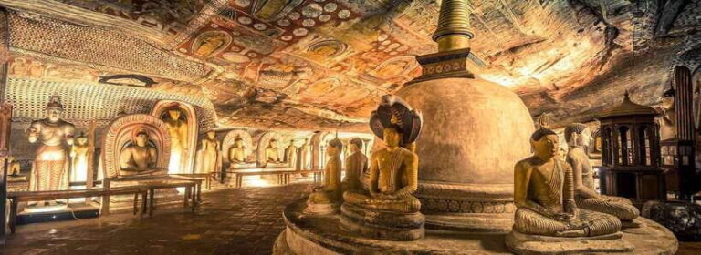 Sigiriya Rock and Dambulla Temples Day Trip - How the Tour Works: Practical Details