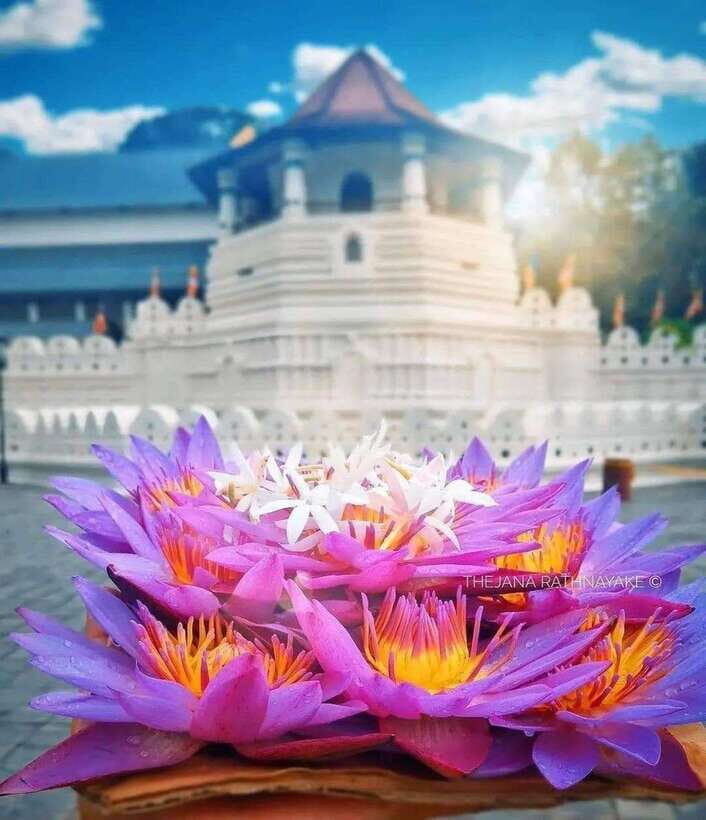 Sigiriya To Kandy Private Transfer: Visit Dambulla Temple - Who is This Tour Best For?