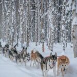 Signature Ridge Top Mush - The Route and Scenic Highlights