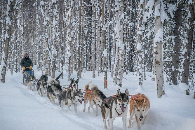 Signature Ridge Top Mush - The Route and Scenic Highlights