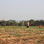 Silk Island & countryside of Phnom Penh by Tuk Tuk - The Practicalities and Value