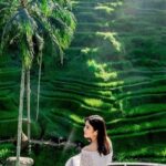 Silver Crafting+ Ubud Activity and Cultural Customizable Day Tour - The Balance of Value and Experience