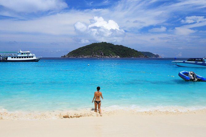 Similan Islands Full-Day Tour from Phuket (SHA Plus) - Snorkeling at Island No.7 (Payu Island): Marine Marvels