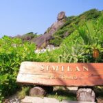 Similan Islands Full-Day Tour from Phuket with Lunch - What to Expect from Each Stop