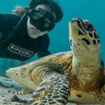 Similan Islands Private Tour - What Makes This Tour Stand Out