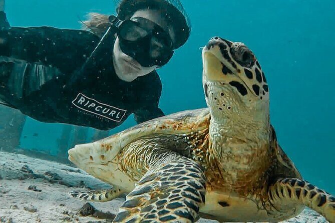 Similan Islands Private Tour - What Makes This Tour Stand Out