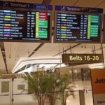 Singapore: Airport/Seaport Arrival Transfer + Meet & Greet - Detailed Vehicle and Service Highlights